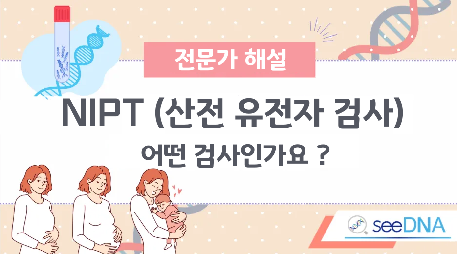 NIPT(산전 유전자 검사)는 어떤 검사인가? | seeDNA